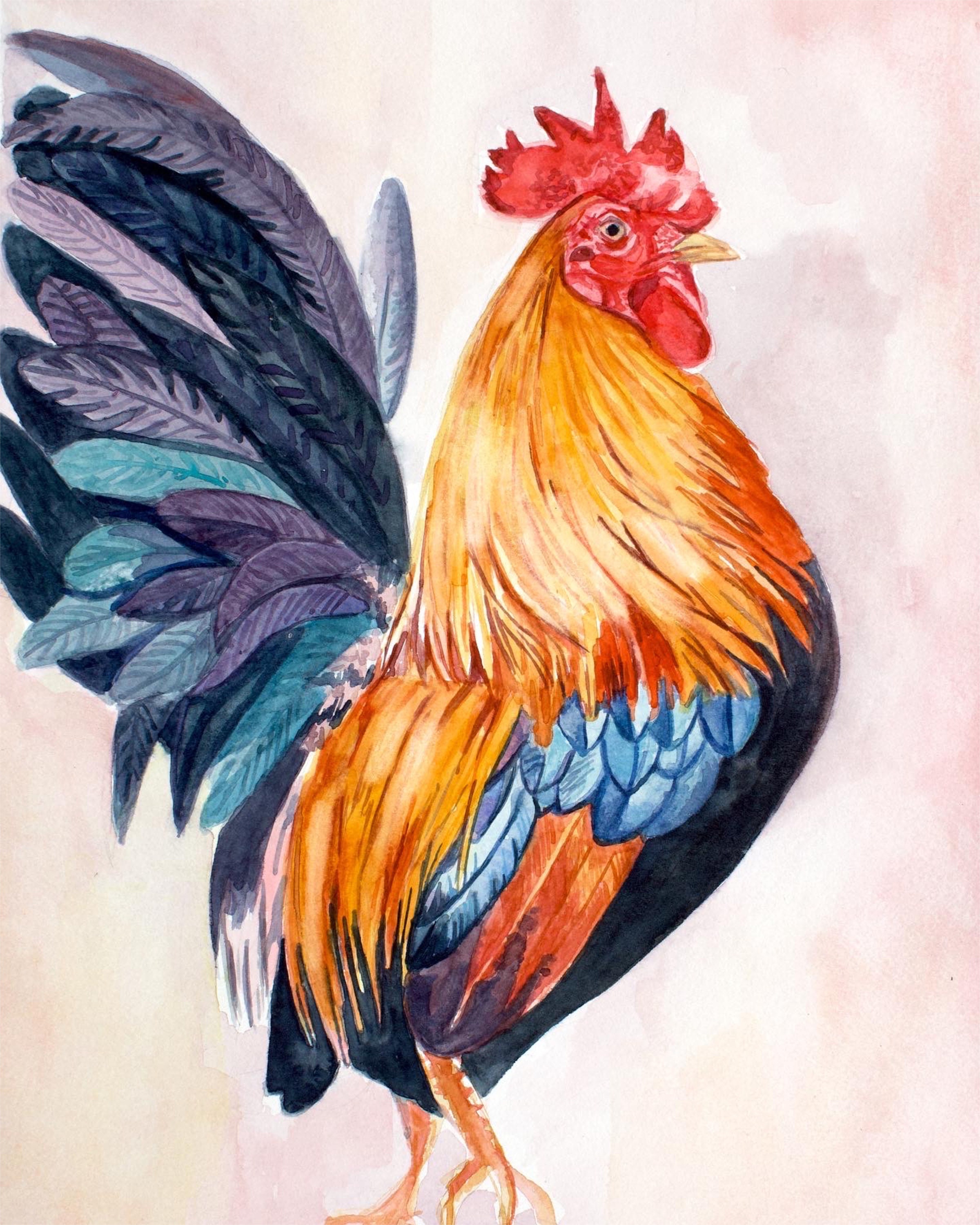 Colorful Chicken Watercolor Print - Etsy