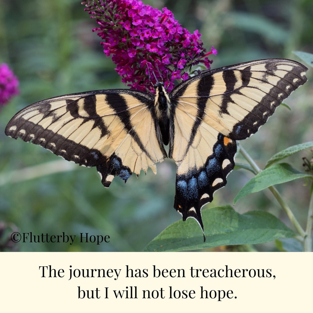 Swallowtail Butterfly Magnet, Hope Quote, Grief Gift - Etsy