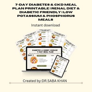 Diabetes and CKD Meal Plan Printable Renal Diet and Diabetic Friendly ...