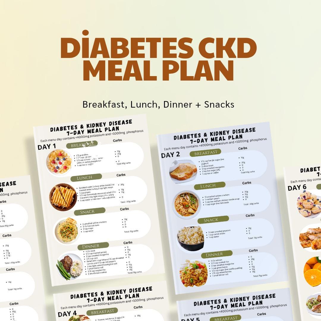 Diabetes and CKD Meal Plan Printable Renal Diet and Diabetic Friendly ...