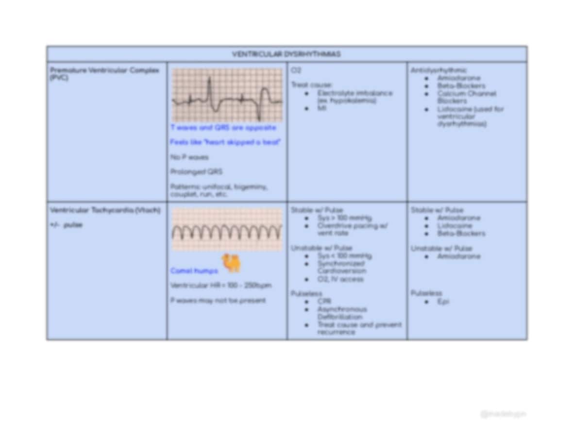Quick & Easy EKG Study Guide for Nursing Students - Etsy