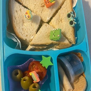 Cute Lunch Bite Picks Food Picks for Bento Lunchbox Bento - Etsy