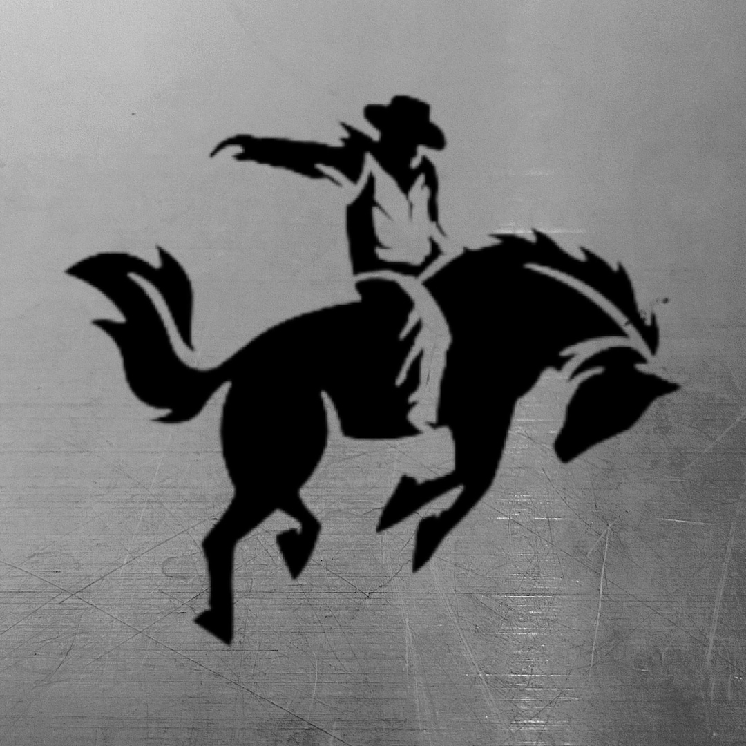 Rodeo Cowboy Riding Horse Vinyl Decal Sticker Vinyl Decal Sticker for ...