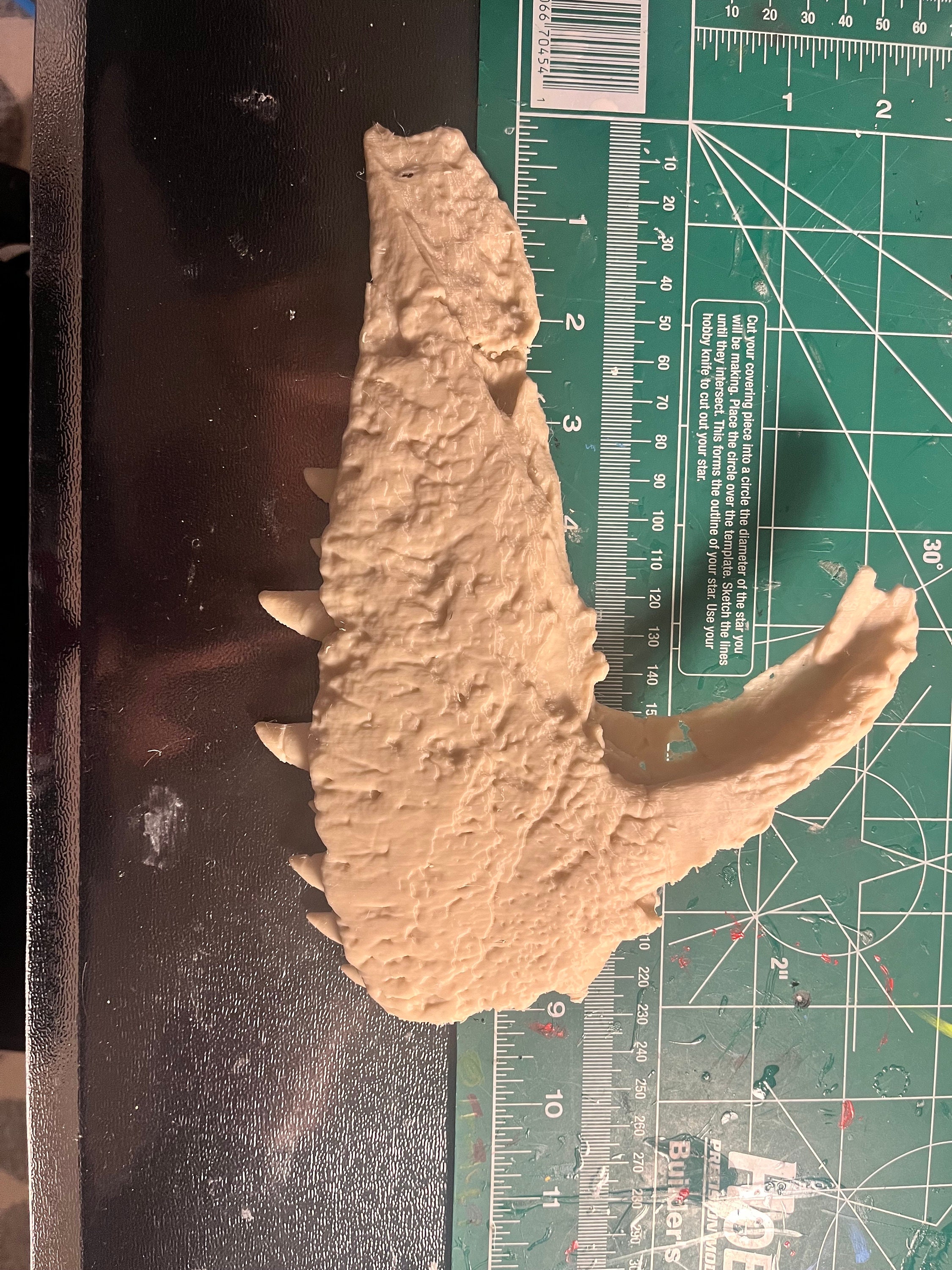 Majungasaurus Fossil Jaw Museum Quality Replica. Read Description - Etsy