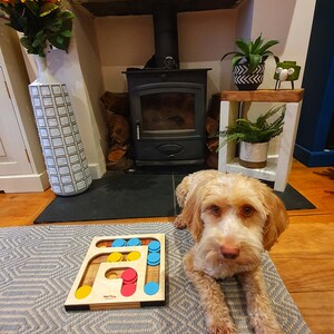 Wooden Dog Toy Puzzle Challenging Dog Toys Obedience Dog Training Toys ...