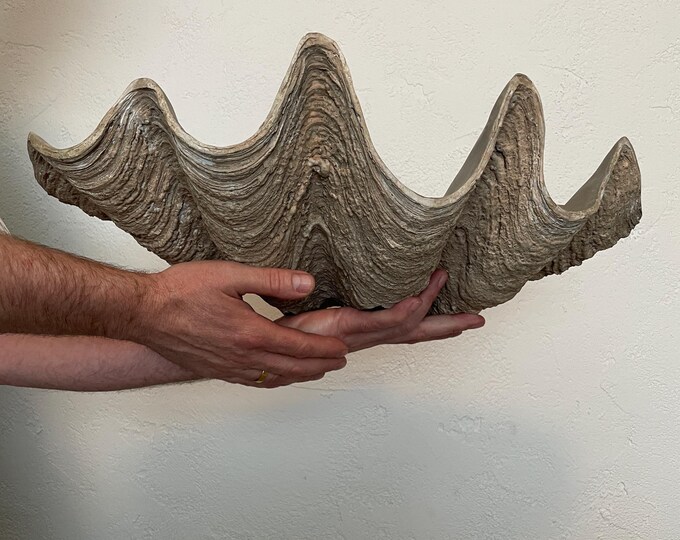 Vintage Giant Clam Tridacna Gigas Font Shell Faux Clamshell Nautical ...