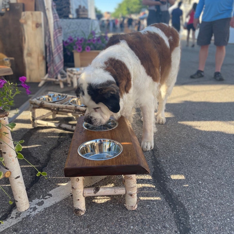 Live Edge Dog Bowl Stand With Bowls and White Birch Legs - Etsy