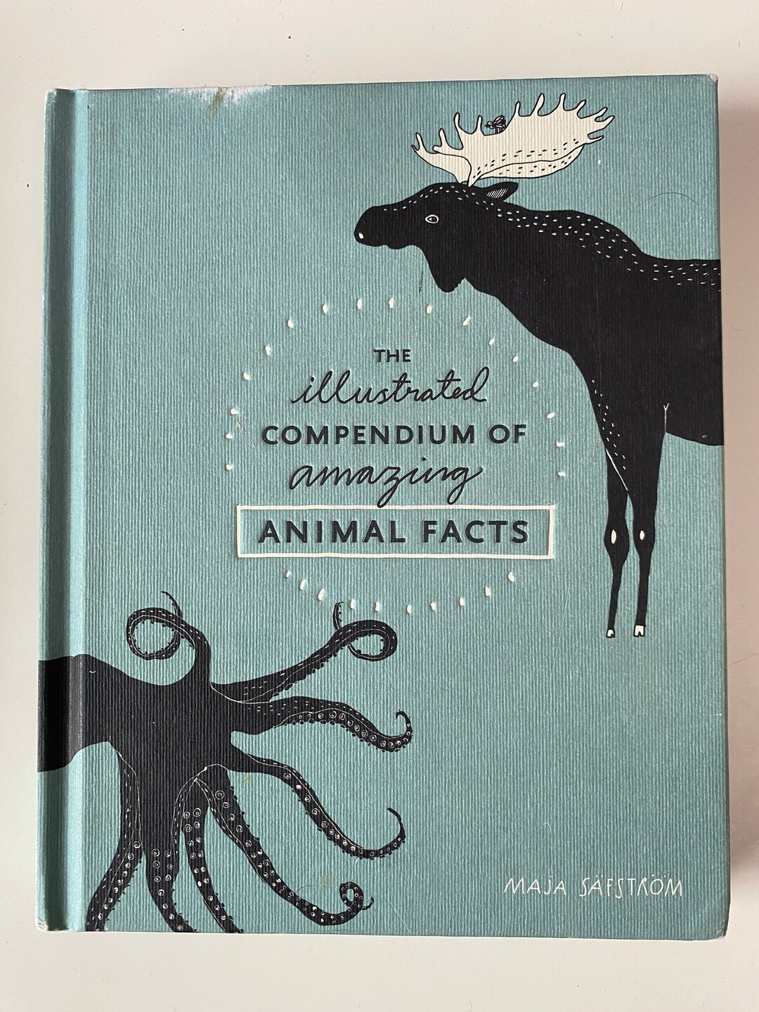 The Illustrated Compendium of Amazing Animal Facts by Säfström, Maja - Etsy
