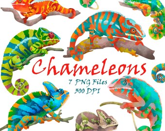 Chameleon Watercolor Clipart Bundle Chameleon Clipart - Etsy