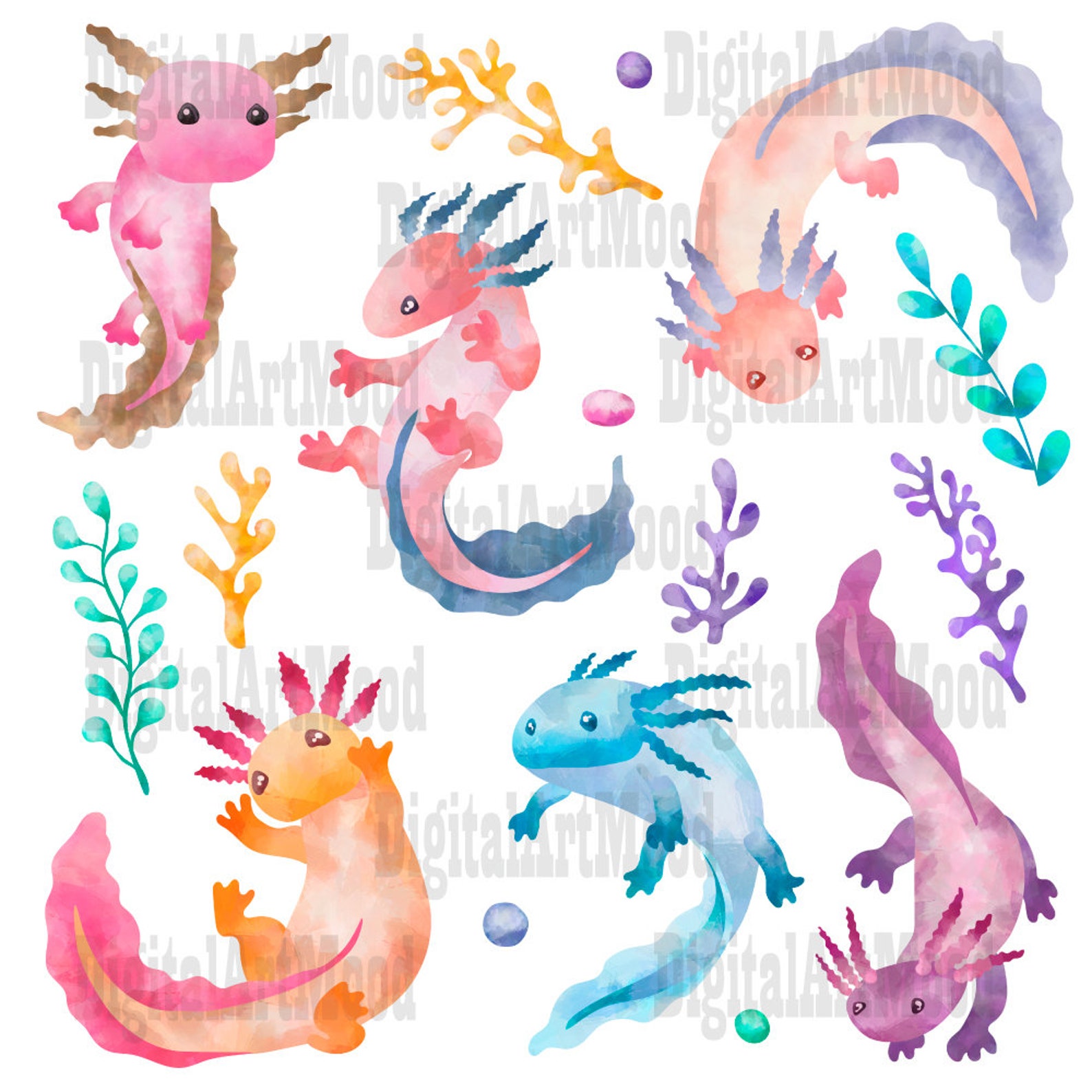 Watercolor Axolotls-axolotls Clipart-cute Amphibians-mexican - Etsy