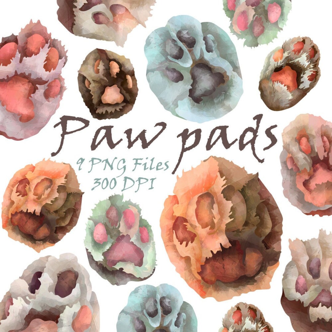 Paw Pads-cat Paws-cute Paws-watercolor Paws-instant - Etsy