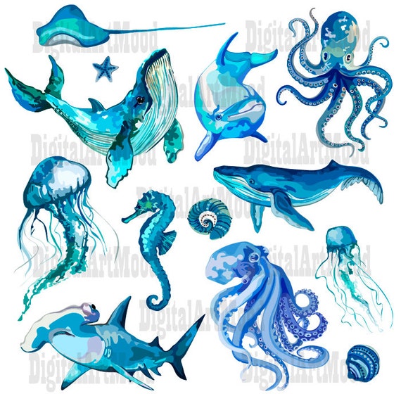 Bear Shark Octopus