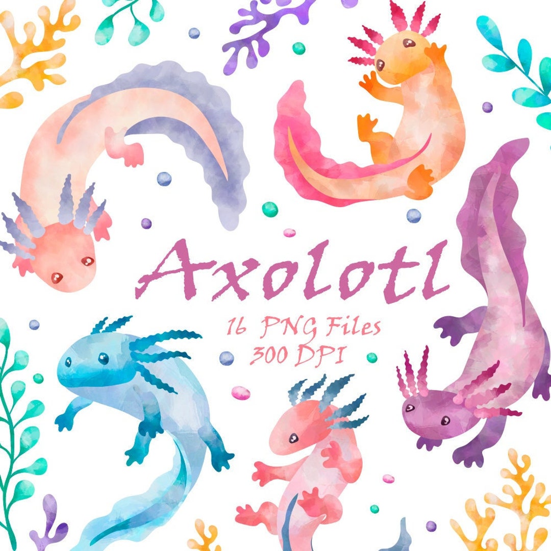 Watercolor Axolotls-axolotls Clipart-cute Amphibians-mexican ...