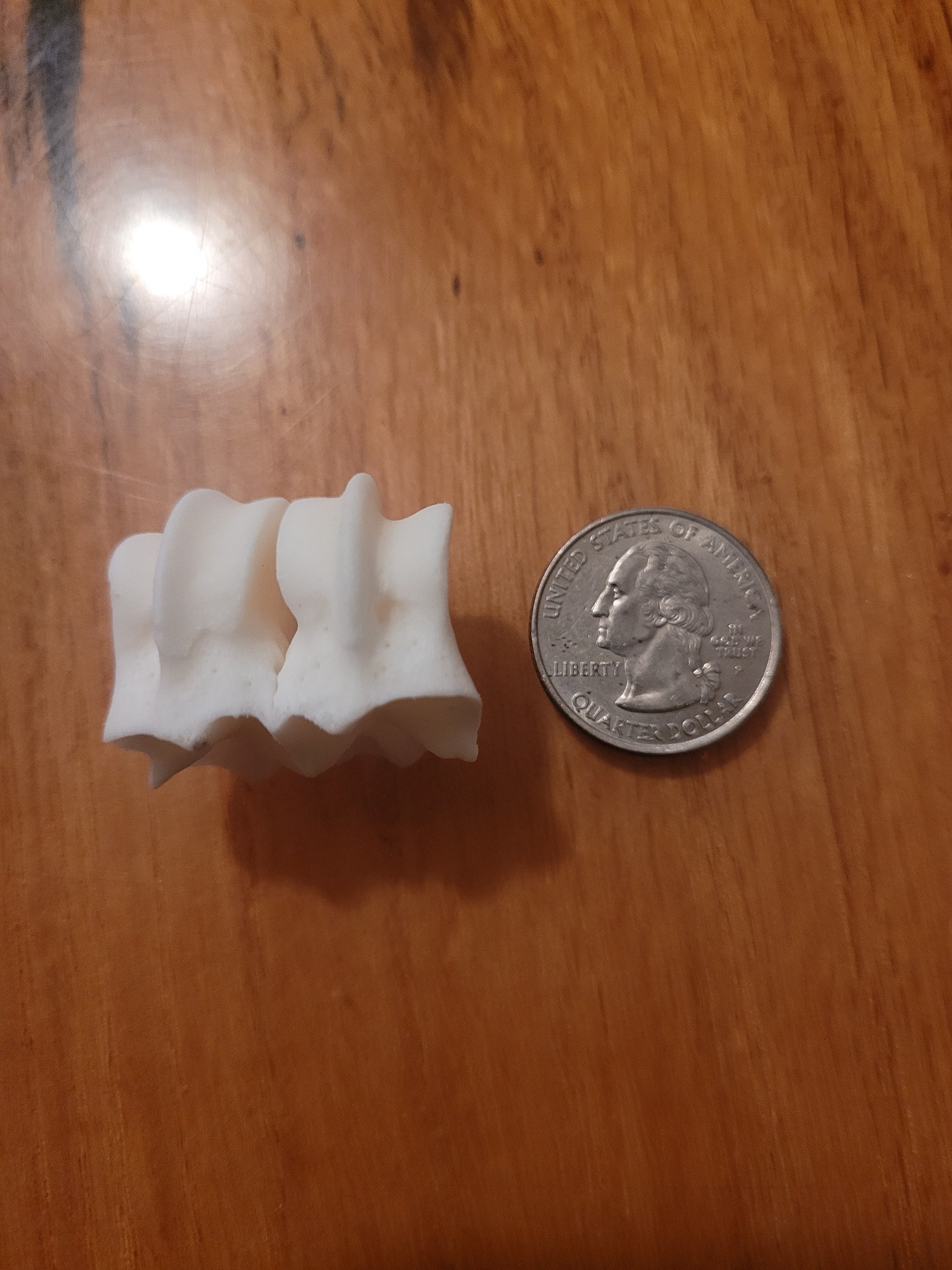 Whitetail Deer Leg Joint Bones - Etsy