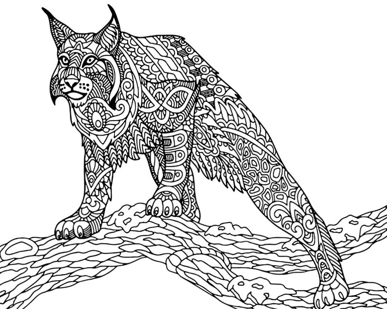 Coloring Book, Cycle 1, Coloring Pages, Mandala Coloring Therapy ...