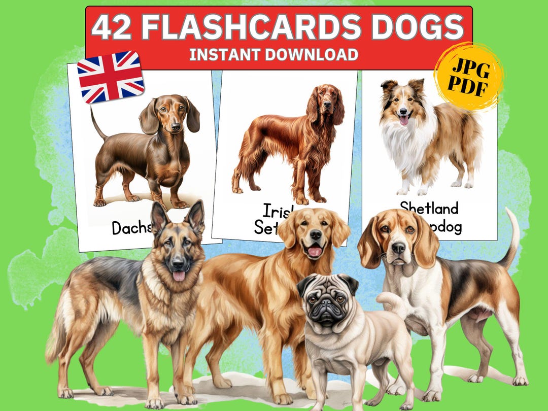 Dog Breeds Montessori Homeschool, Breeds of Dogs Coloring Nomenclature ...