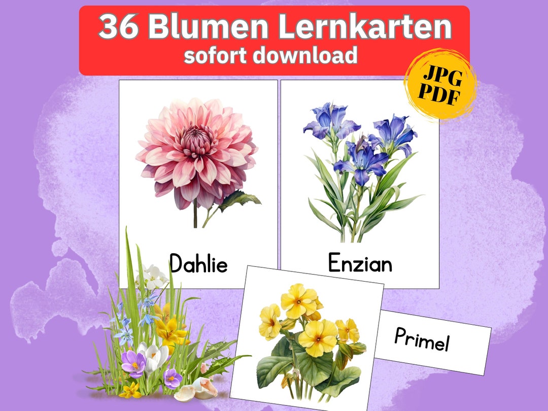 Flower Picture Cards, Montessori Cards, Flower Flashcards, Flower ...