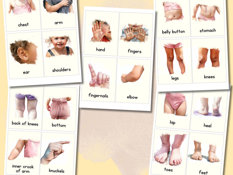 Human Body Parts Flashcards Human Body for Kids Teaching Material ...