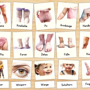 Körperteile lernen mit Montessori Bildkarten, 40 lernkarten kinder ...