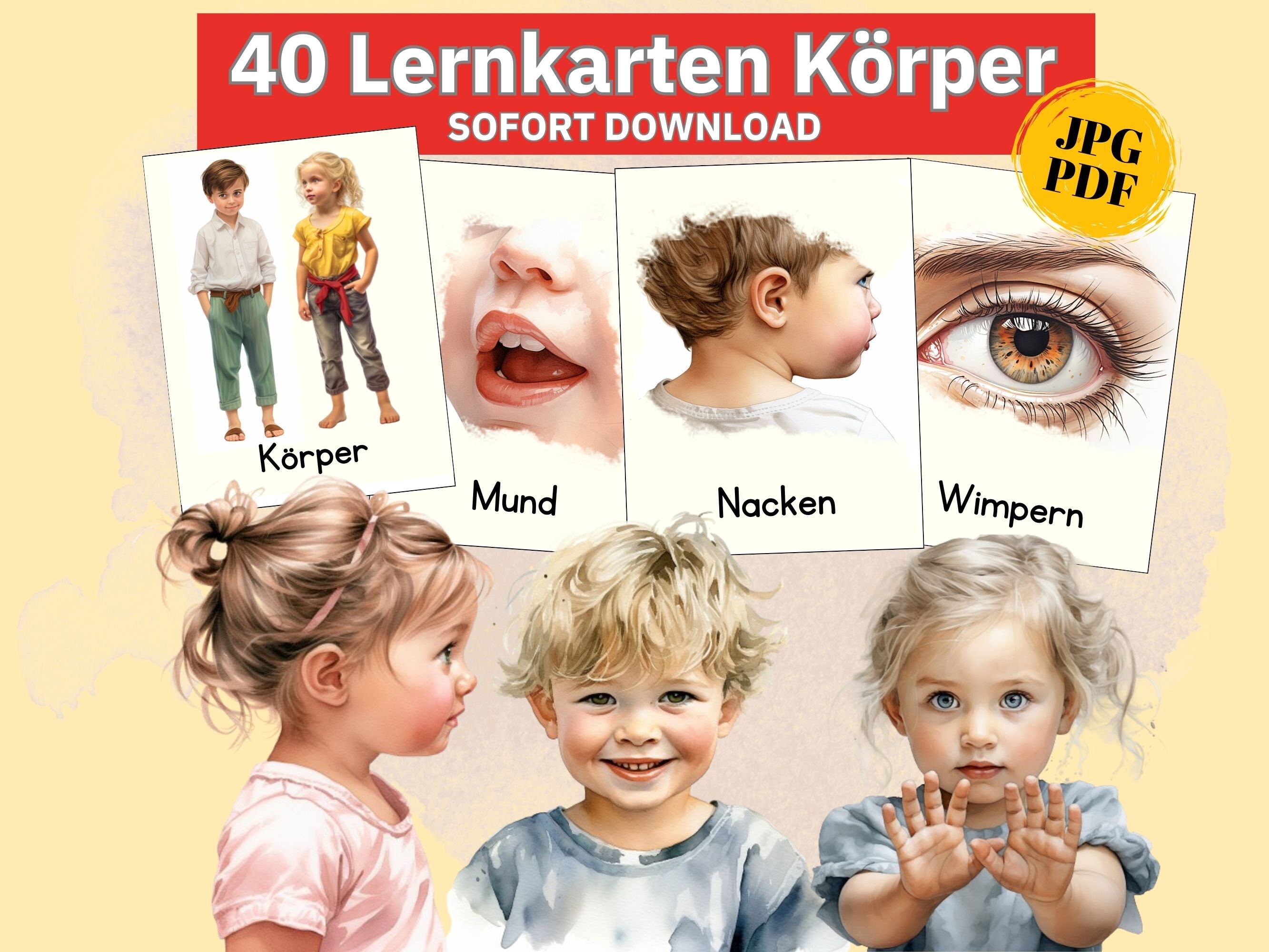 Körperteile lernen mit Montessori Bildkarten, 40 lernkarten kinder ...
