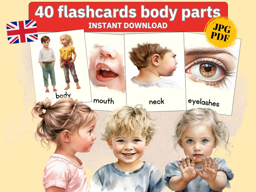 Human Body Parts Flashcards Human Body for Kids Teaching Material ...
