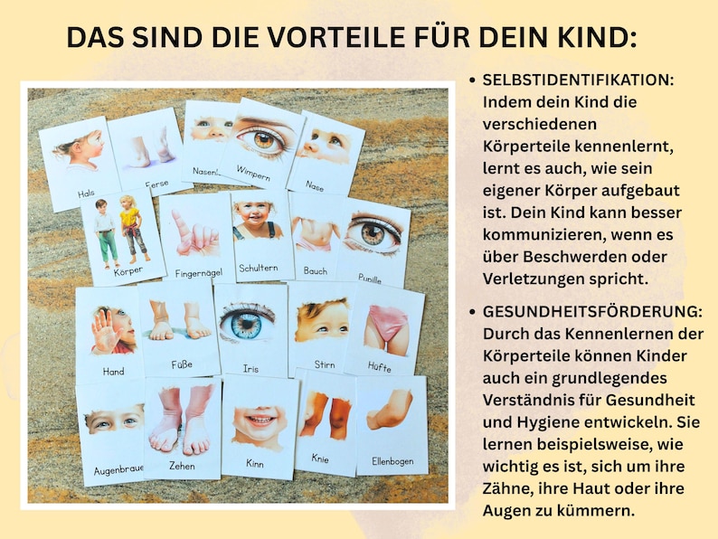 Körperteile lernen mit Montessori Bildkarten, 40 lernkarten kinder ...