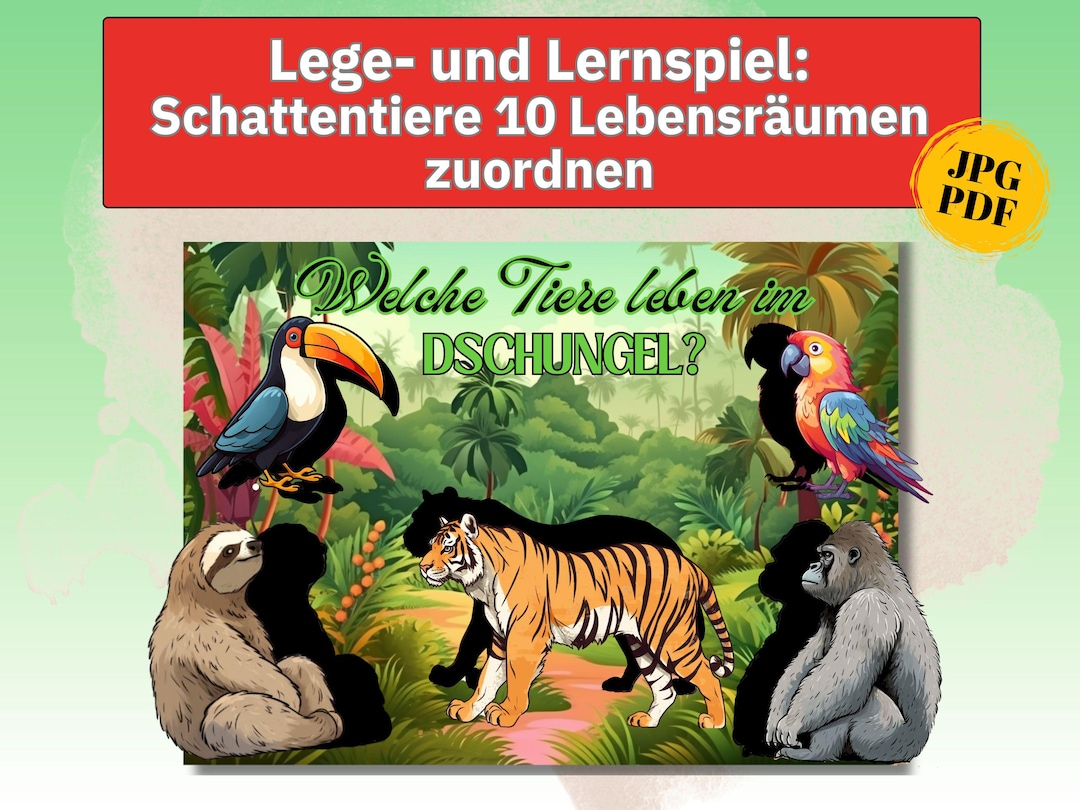 Safari Animals Jungle Animals Learn Montessori Learning Cards for ...