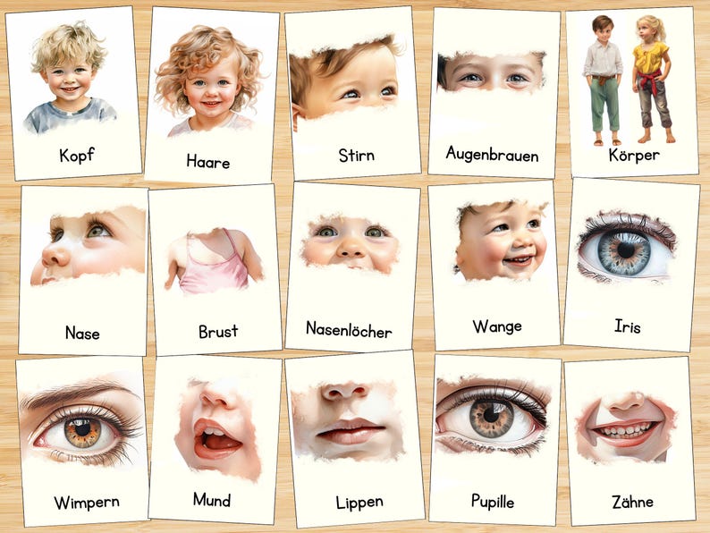 Körperteile lernen mit Montessori Bildkarten, 40 lernkarten kinder ...