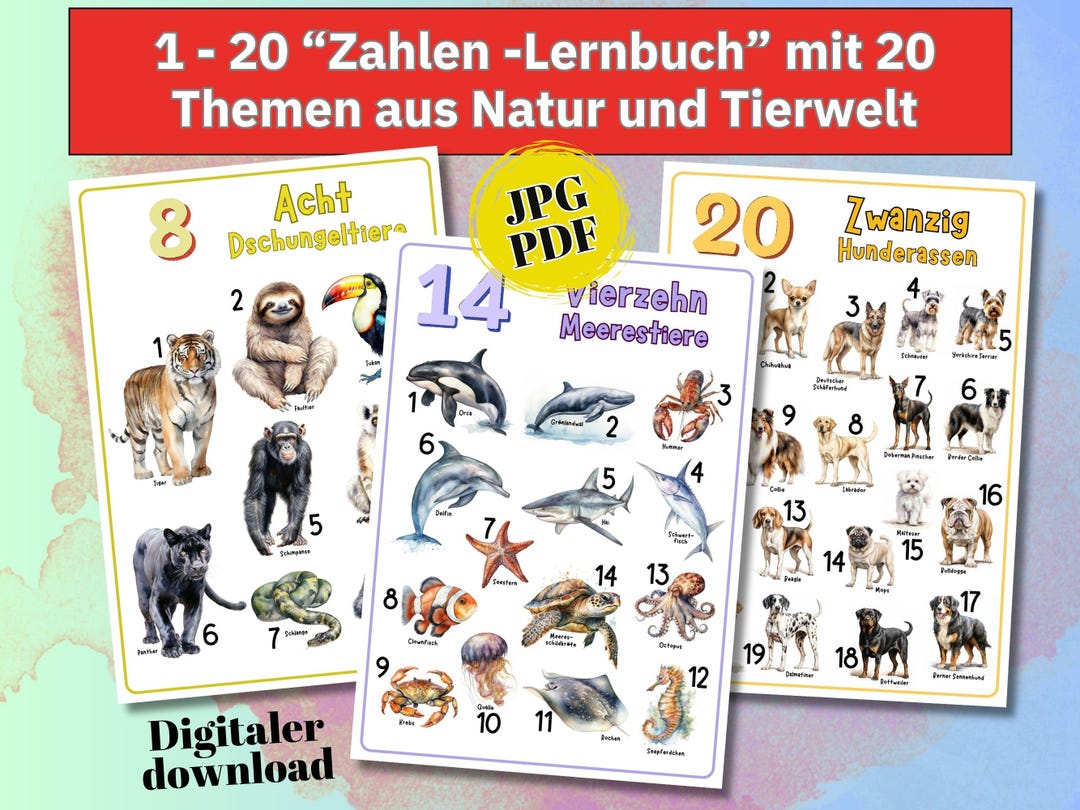 Number Picture Cards 1-20 for Learning to Count, Montessori Counting ...