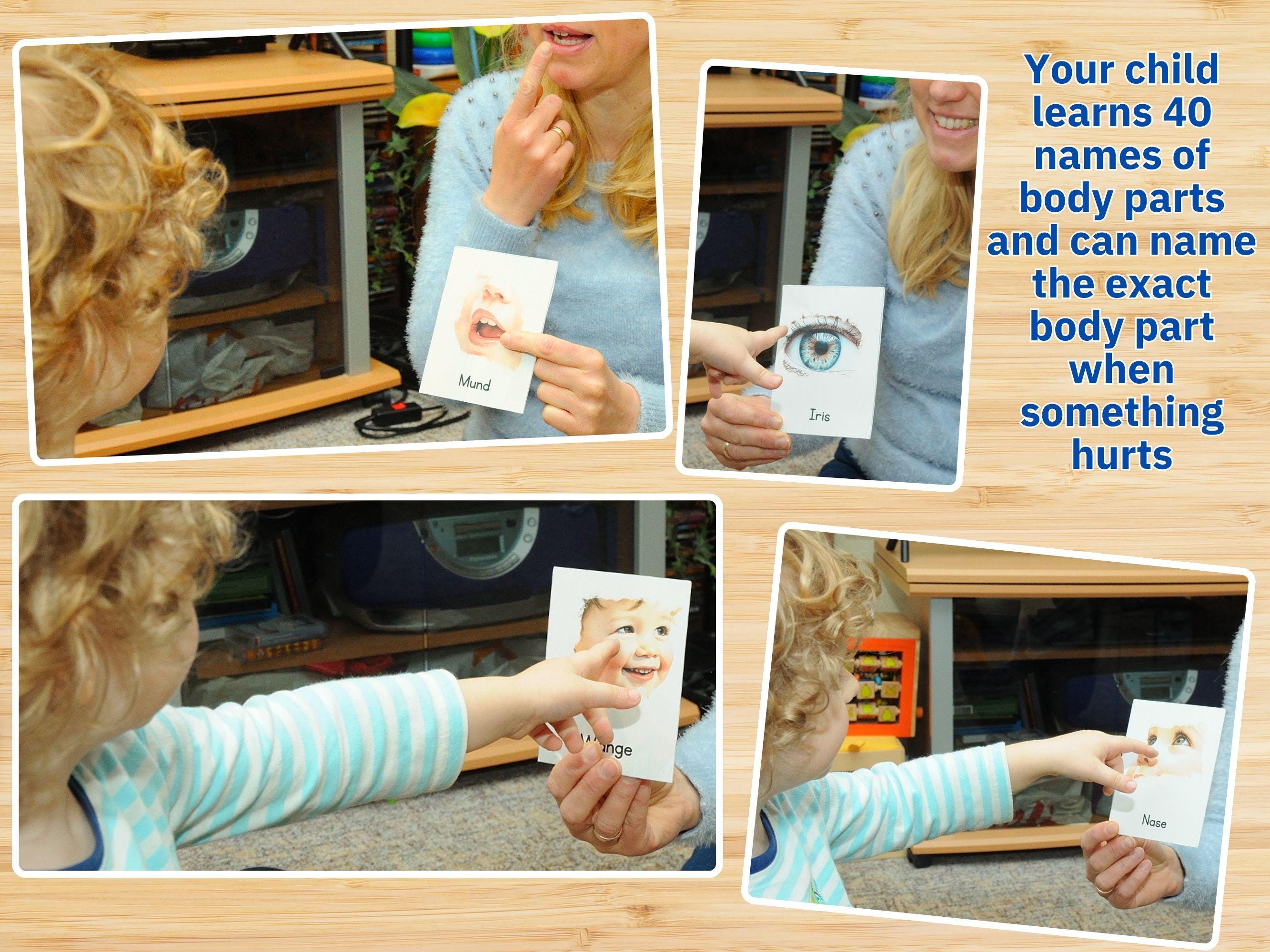 Human Body Parts Flashcards Human Body for Kids Teaching Material ...