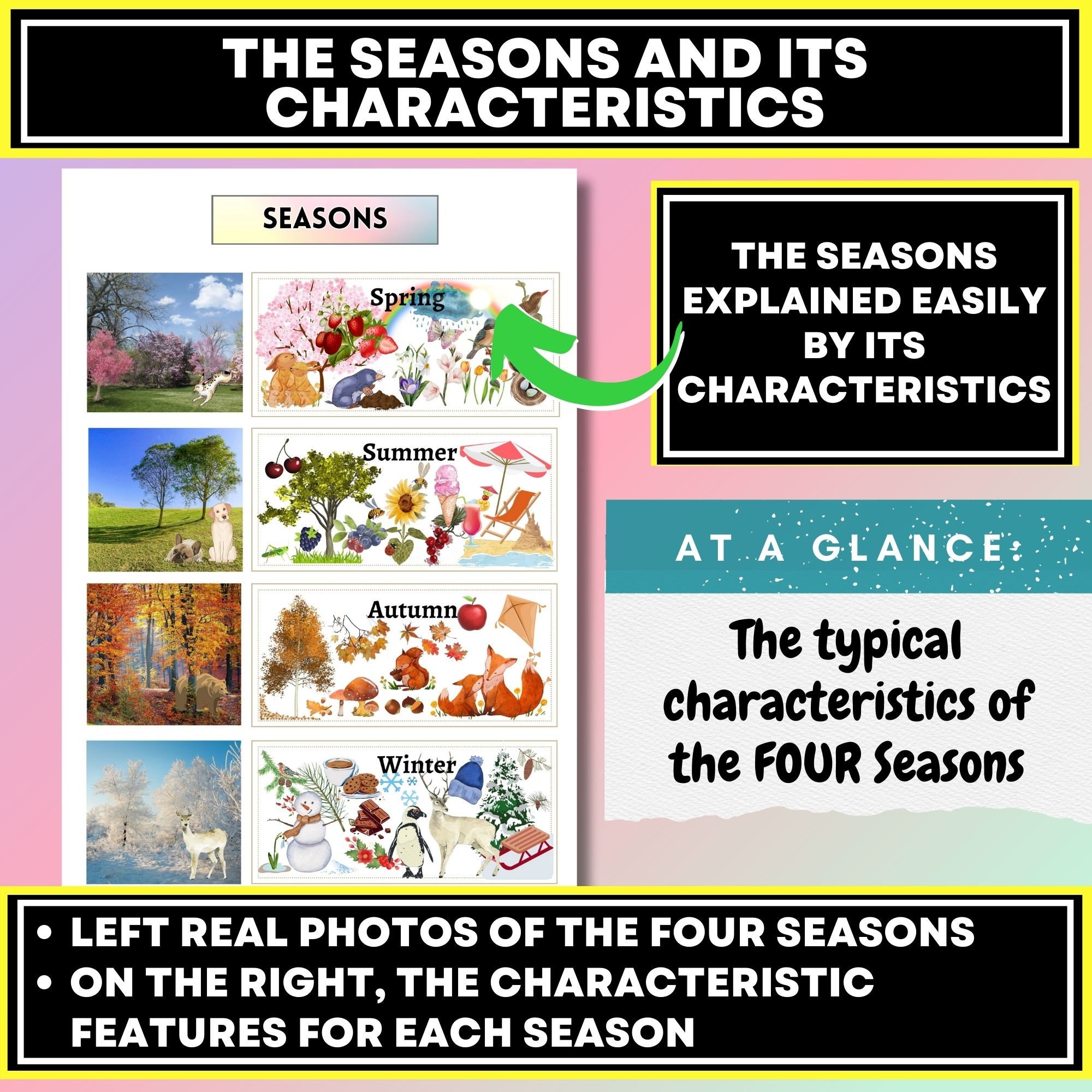Four Seasons Print, Montessori 4 Seasons Printable, Educational Posters ...