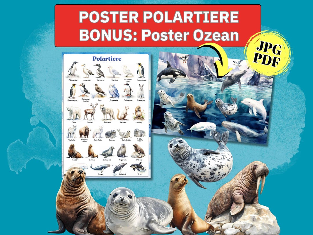 Polar Poster Arctic Animals Polar Animals Poster Children's Daycare ...