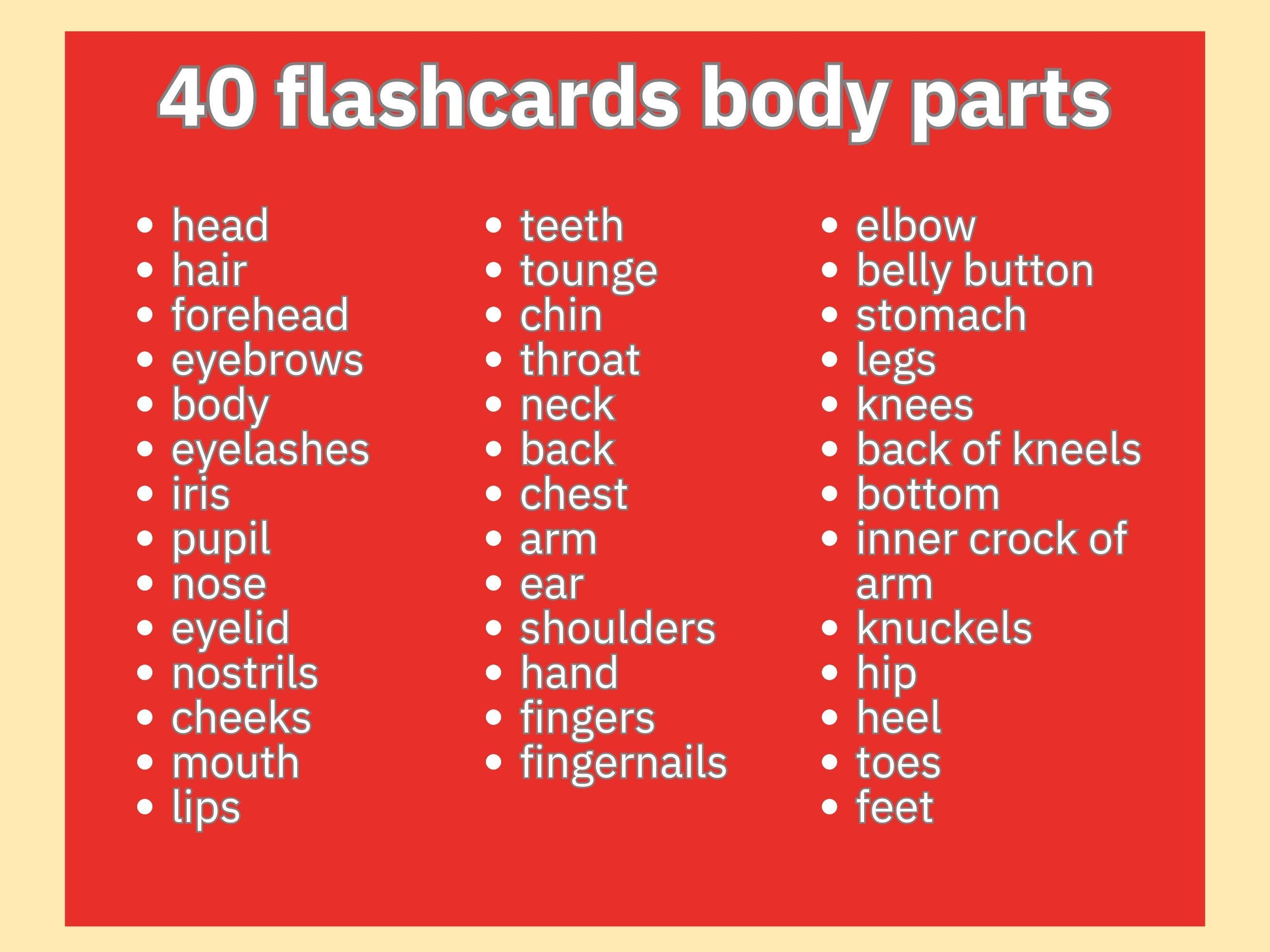 Human Body Parts Flashcards Human Body for Kids Teaching Material ...