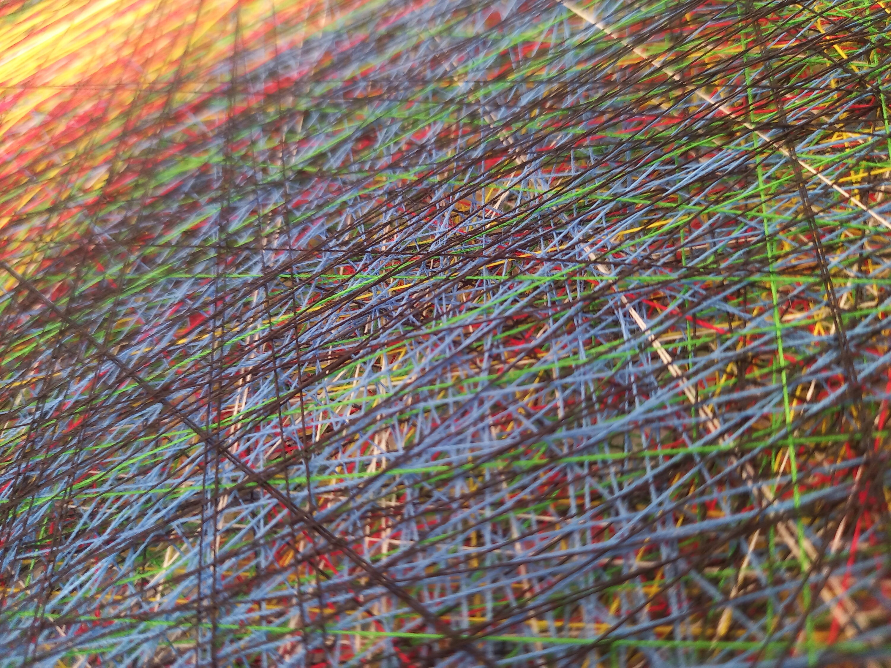 Personalized String Art Portrait Colorful, String Fine Art, Free Sketch ...