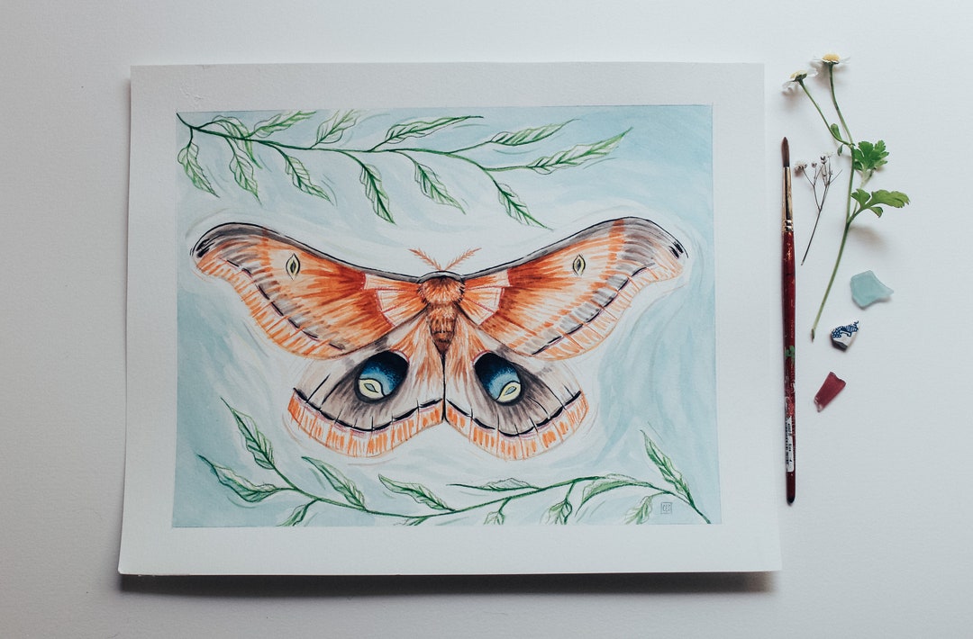 Polyphemus Moth Large Print (antheraea Polyphemus) - Etsy