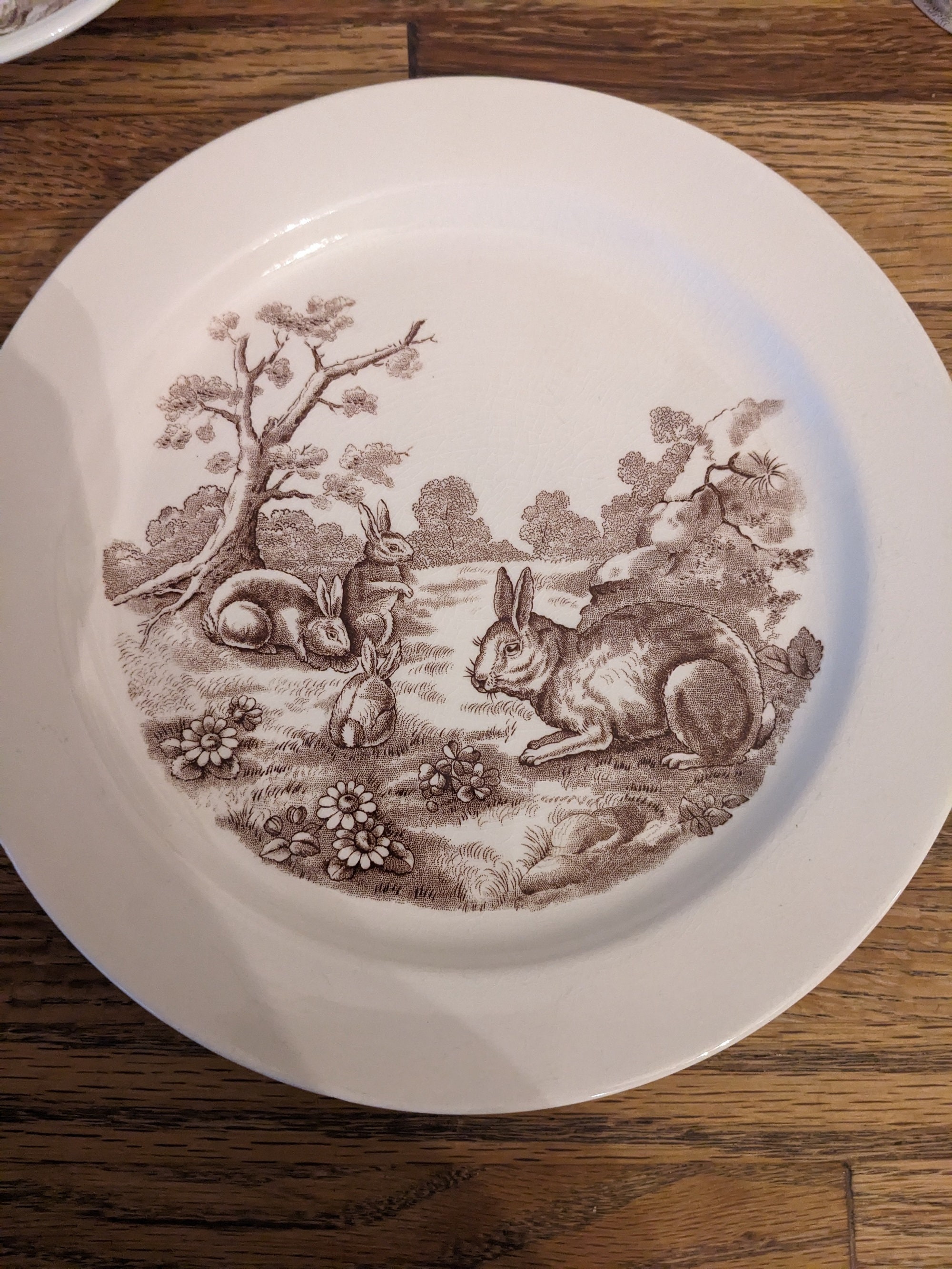Copeland Spode Brown Transferware Grazing Rabbit Made in - Etsy