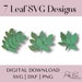 Paper Leaves SVG Leaf Templates Cut Files for Cricut - Etsy