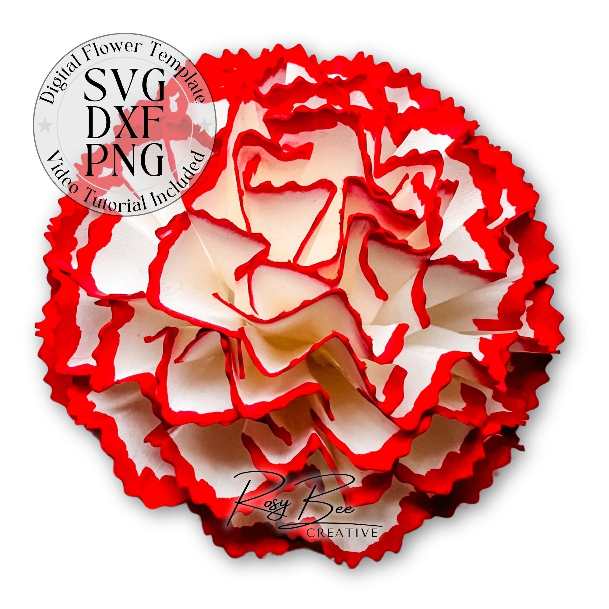 Carnation Paper Flower Paper Flower Tutorial Paper Flower Template DIY ...