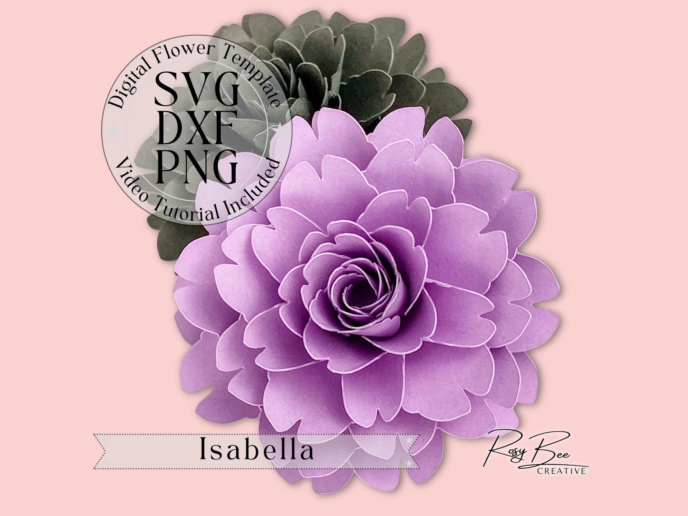 Isabella Paper Flower | Paper Flower Tutorial | Paper Flower Template ...