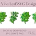 Paper Vine Leaves SVG | Vine Leaf Templates | Cut Files for Cricut - Etsy
