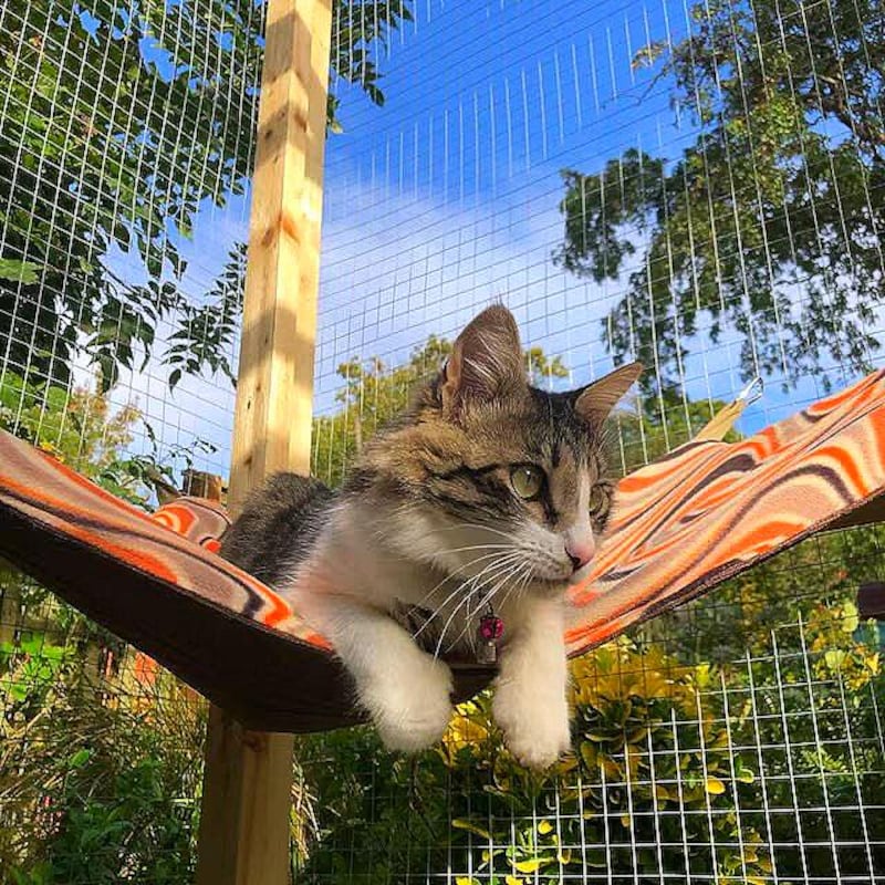 Large Cat Tree Tree - Etsy UK