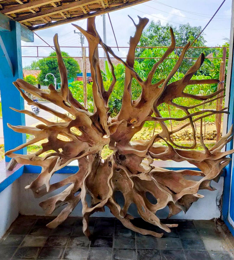 Teak Root Wall Hanging Decor Art Root Wall Panel Screen - Etsy