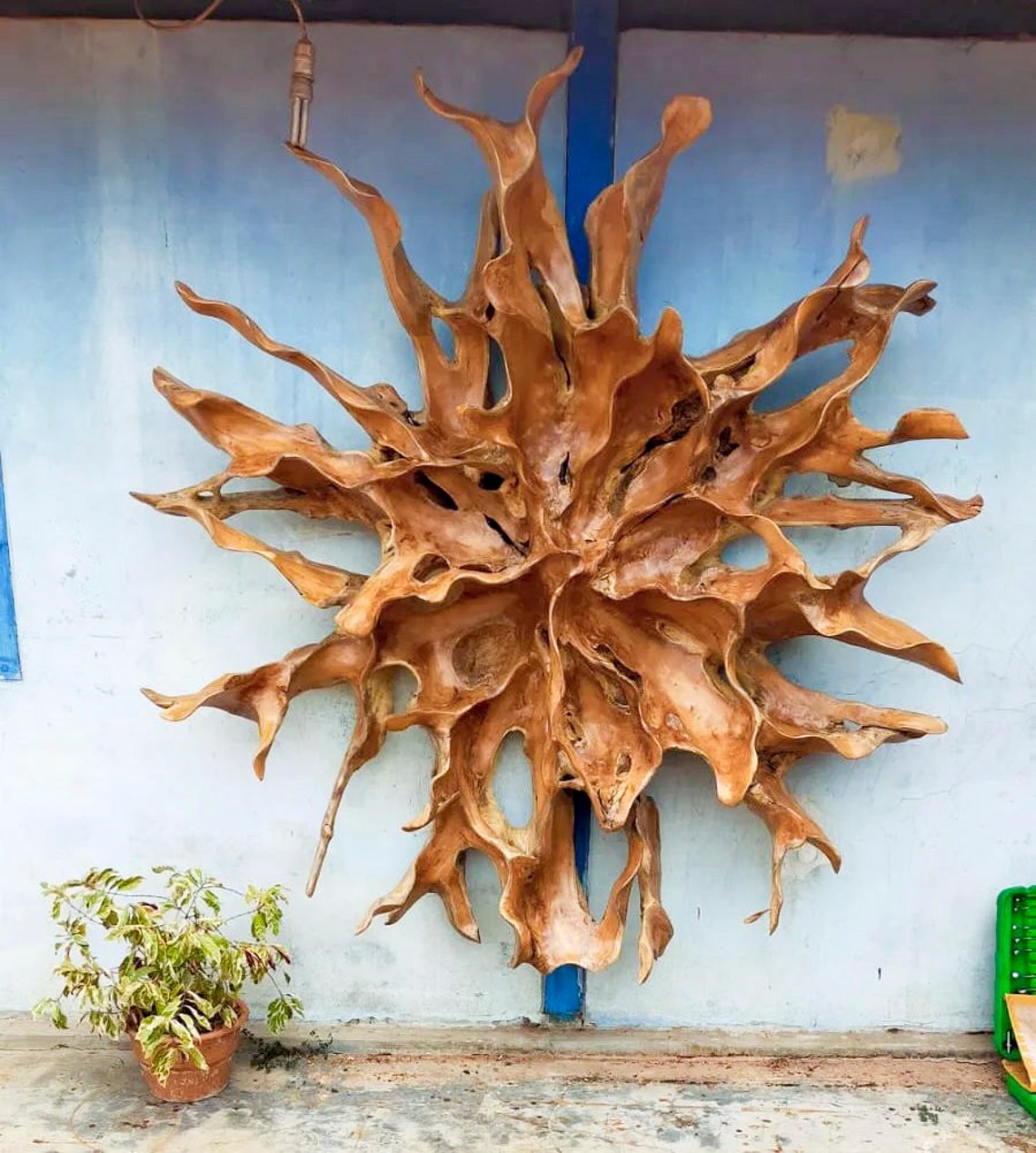 Teak Root Wall Hanging Decor Art Root Wall Panel Screen - Etsy