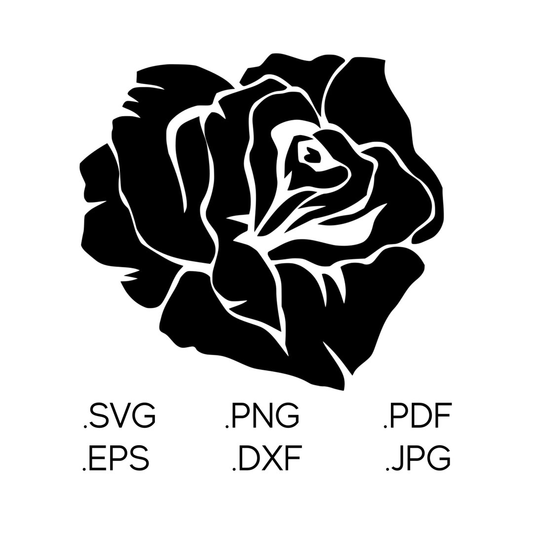 Rose Bloom Instant Digital Download Svg, Png, Jpg, Eps, Dxf and Pdf ...
