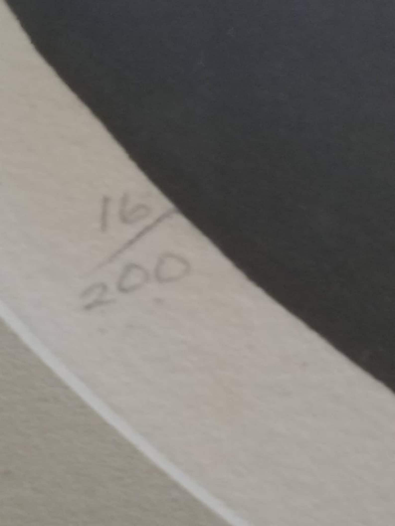 Signed Numbered 1960s Lithograph Portrait by Thom - Etsy