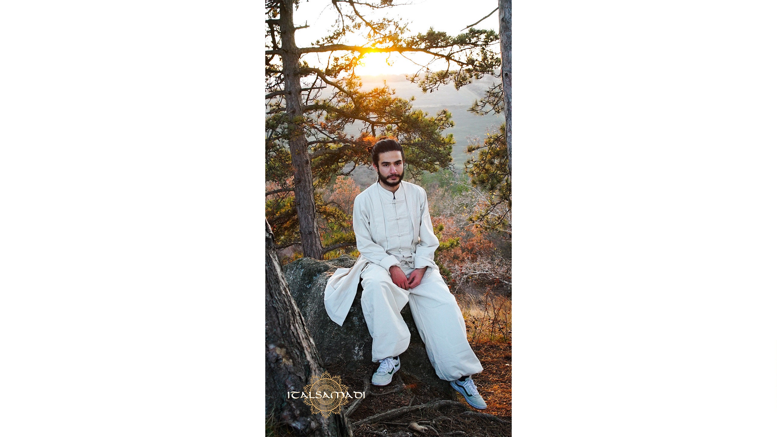 Kung Fu Frog Button Jacket Tai Chi Zen Robes Shaolin Kung Fu Martial ...