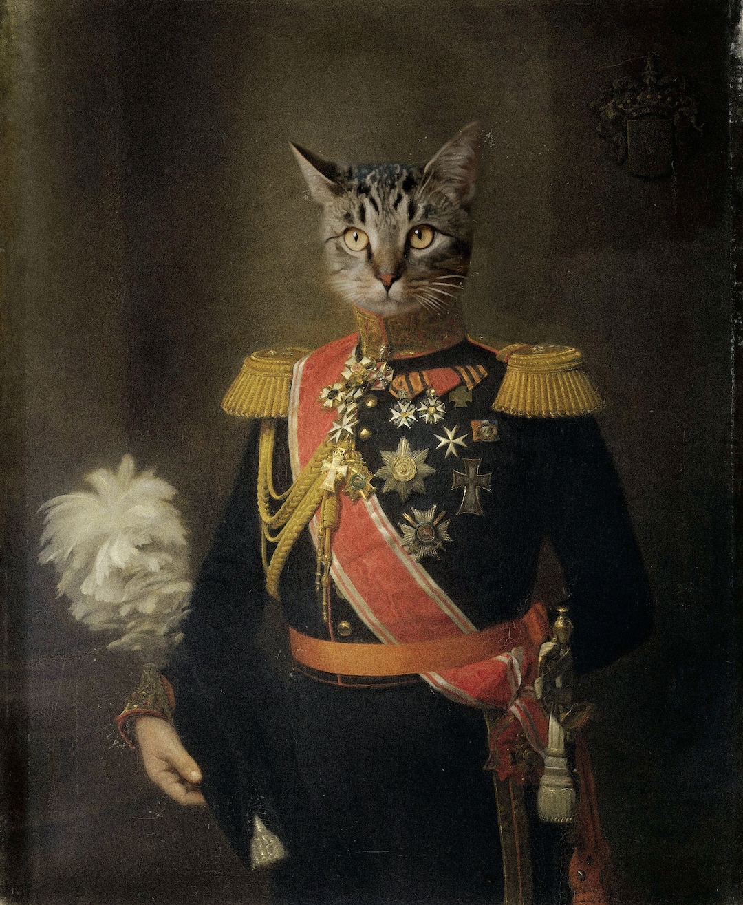 Captain Cat 8x10 Inch Print - Etsy