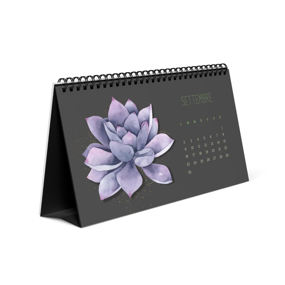 2024 Desk Calendar With Succulents Desk Calendar Gift Idea for ...