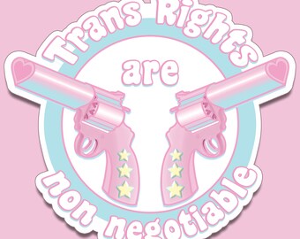 Trans Rights Sticker - Etsy