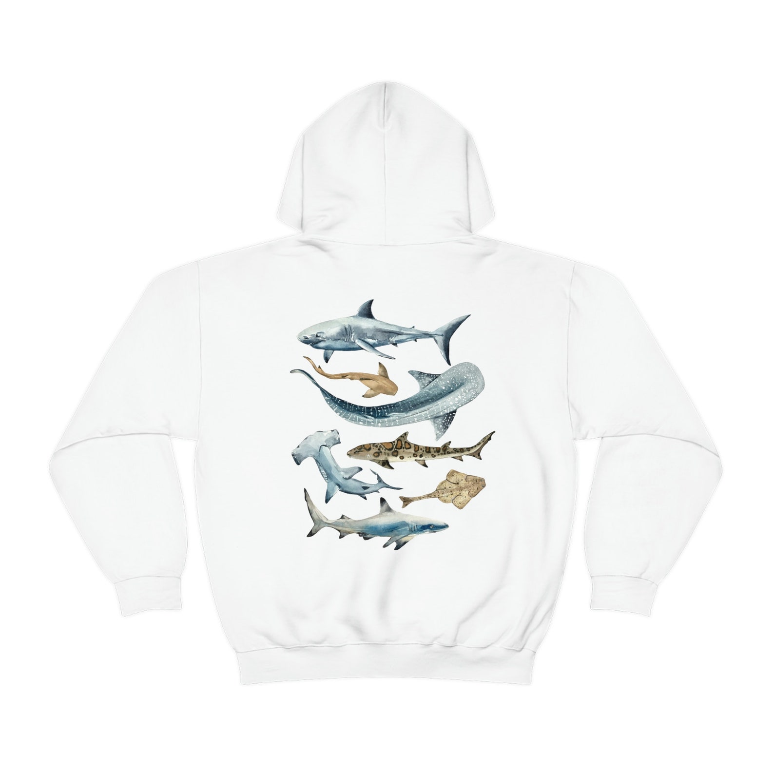 Shark Hoodie Shark Lovers Gift Shark Week Beach Hoodie Marine Biology ...